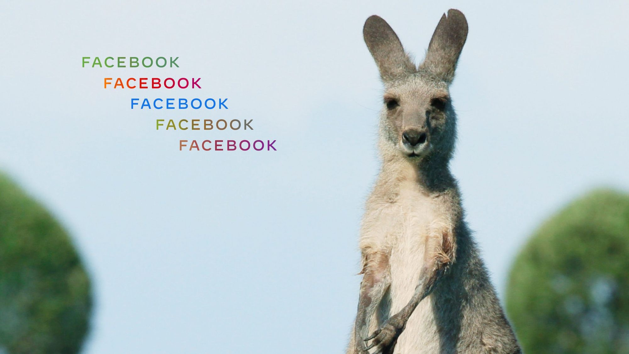 Facebook no longer on the top 5 most installed apps in Australia