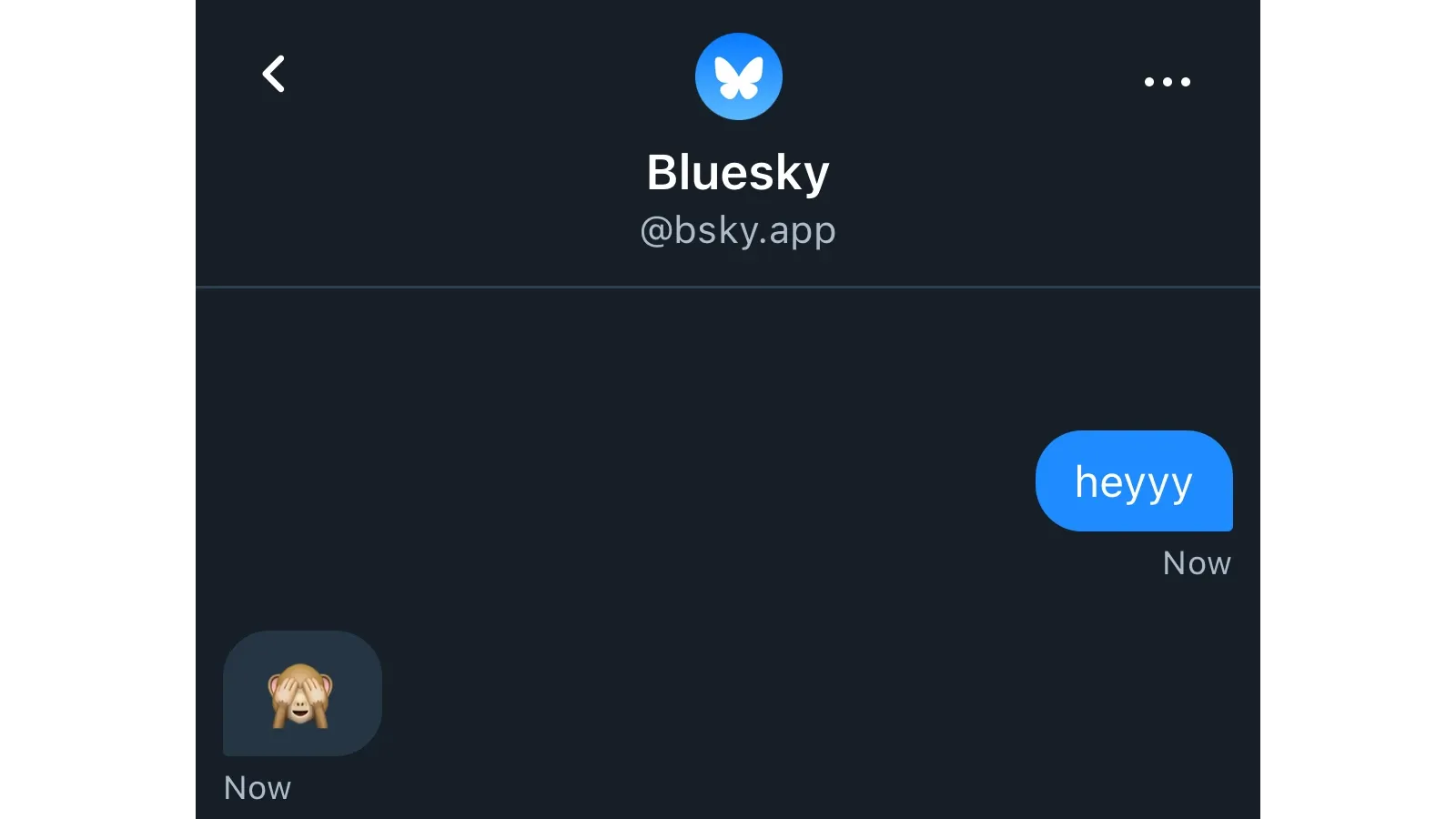 Bluesky launches DMs