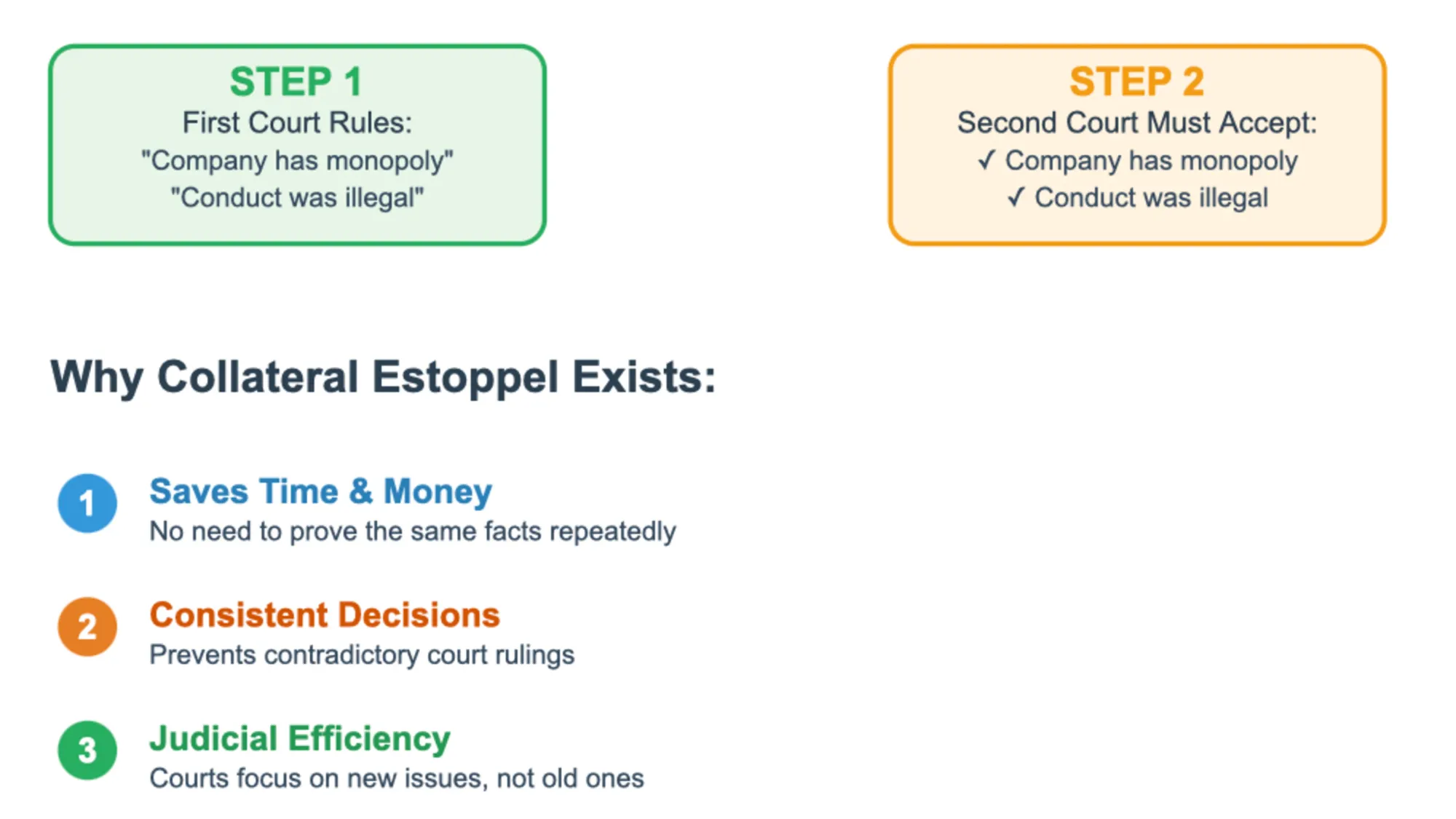 Google faces first private collateral estoppel motion after monopoly ruling